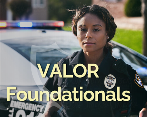 VALOR Clearinghouse - VALOR for Blue