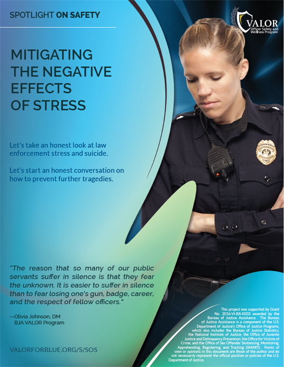 Mitigating the Negative Effects of Stress - Clearinghouse Resource #566 ...