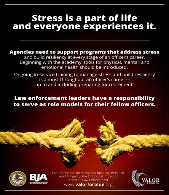 Resilience Initiatives for Agencies - Clearinghouse Resource #570 ...